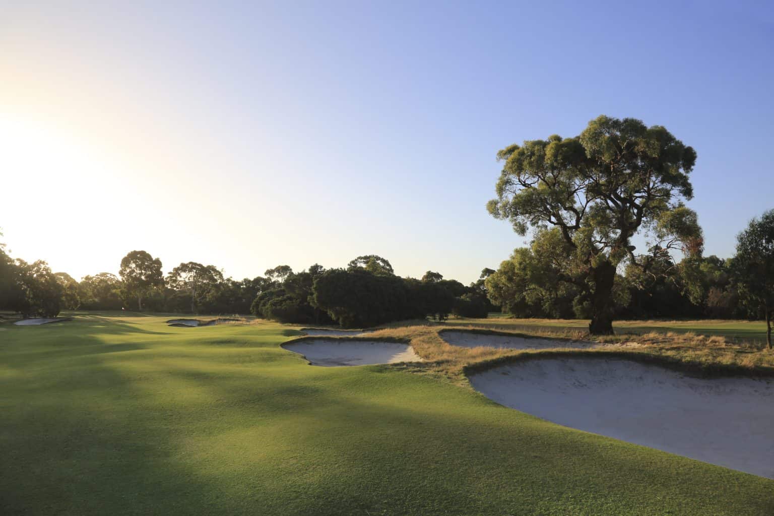 The Royal Melbourne Golf Club: A Legacy of World-Class Golf - Best Of ...