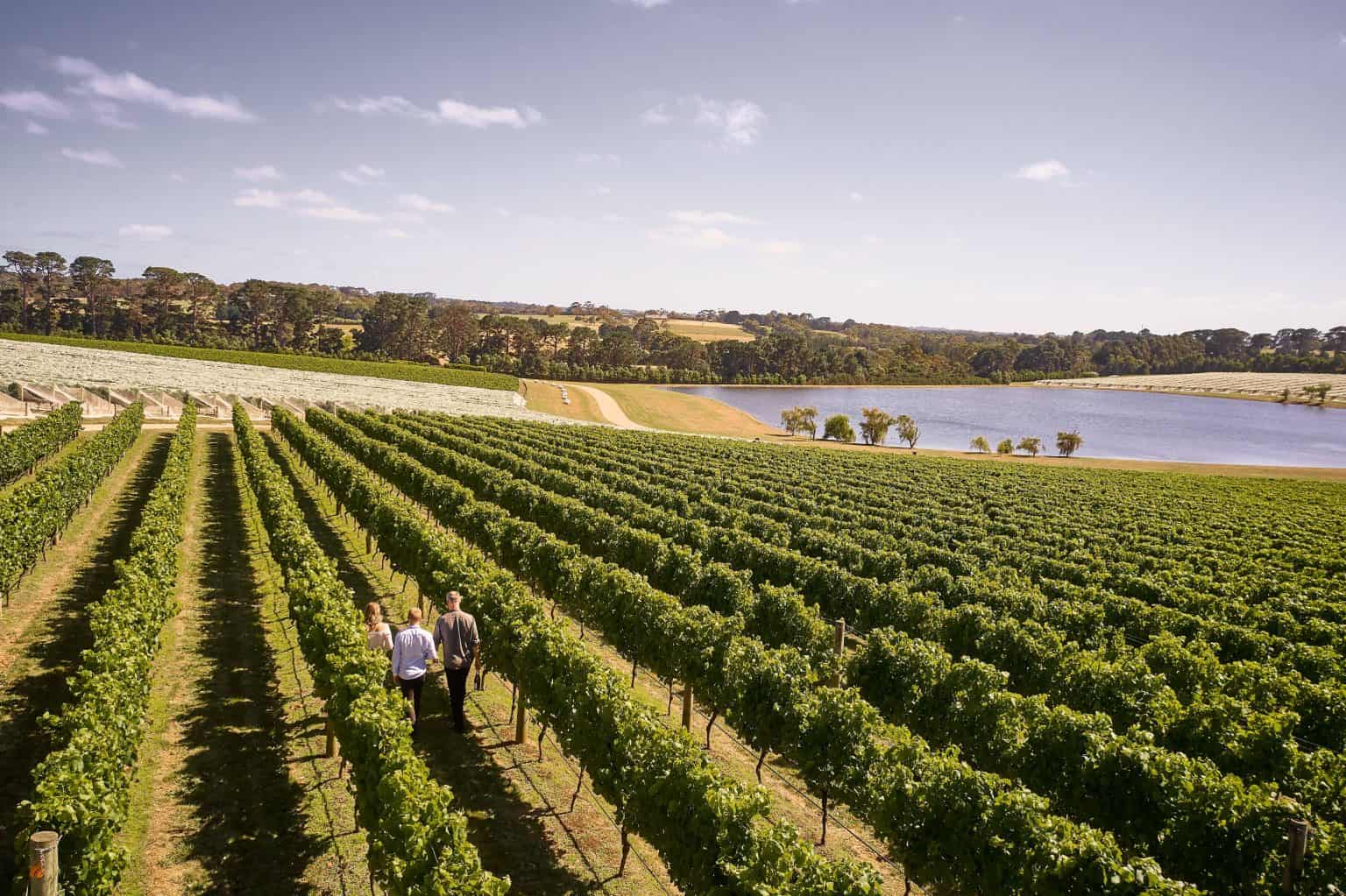 Royal Adelaide Golf Club - Best Of Australia Golf