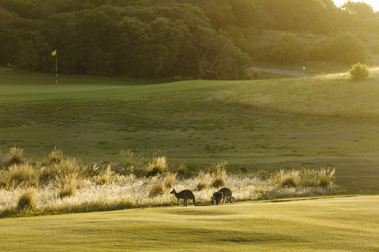 The Grange Golf Club - Best Of Australia Golf